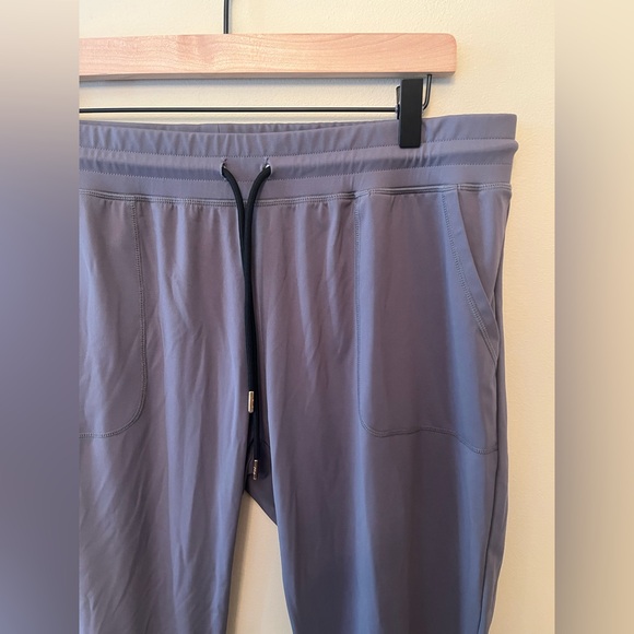 Zyia Active | Pants & Jumpsuits | Zyia Active Ankle Zip Joggers Grey ...